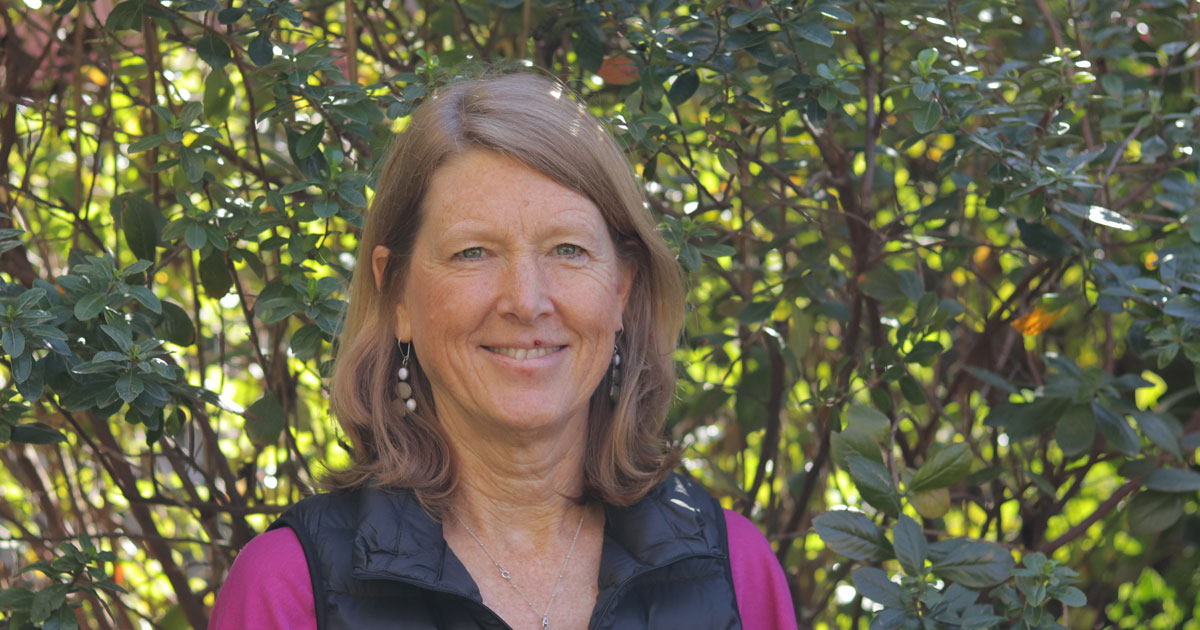 Robin Carnes - Yoga Nidra, iRest and PTSD - The Flow Artists Podcast